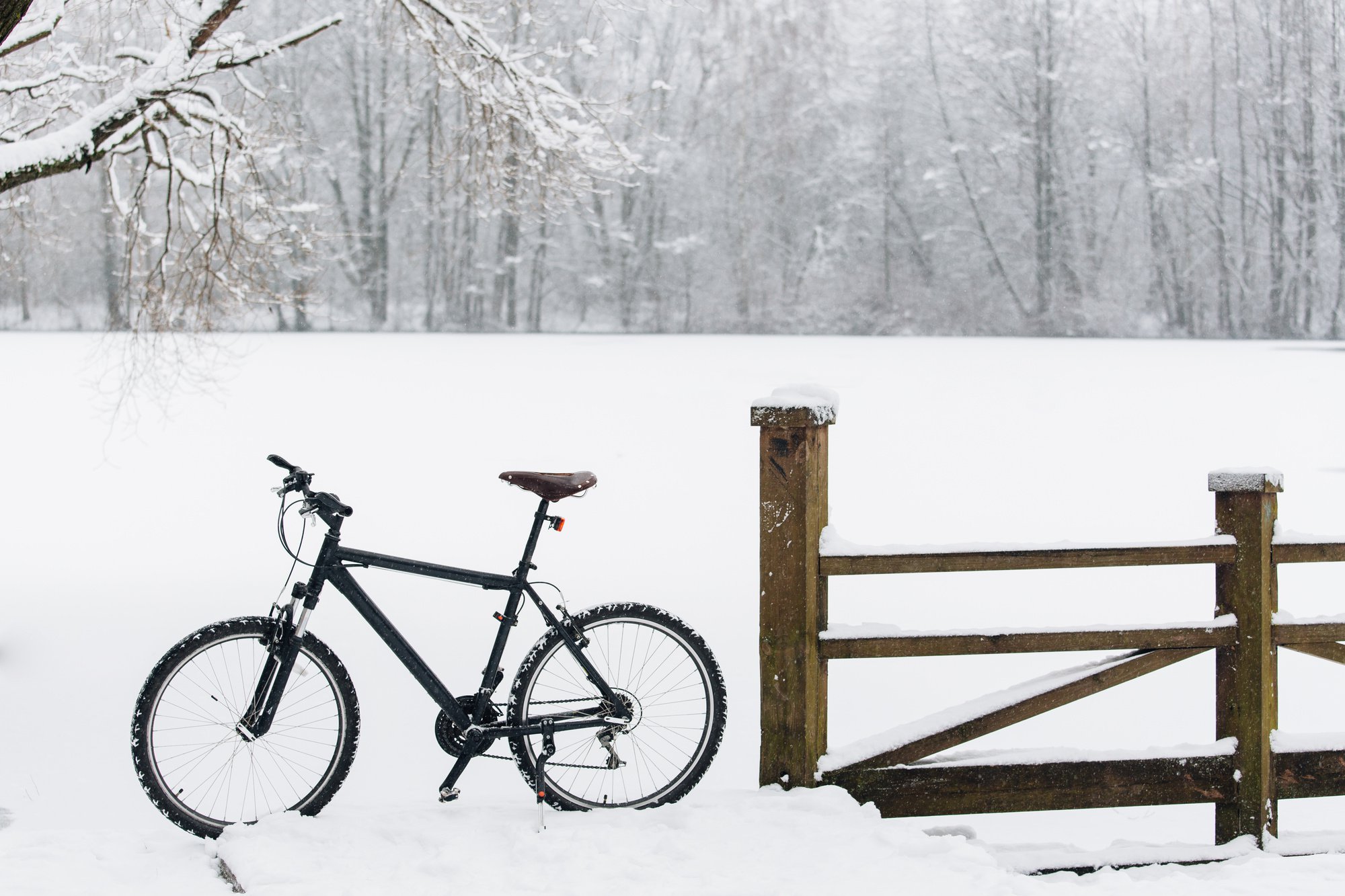 Cold Weather Cycling How To Survive Winter Training